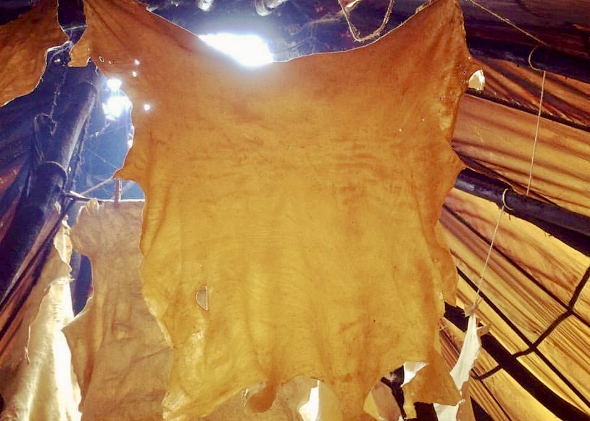 California Survival School - Ancestral Buckskin Deer Hide Tanning Workshop